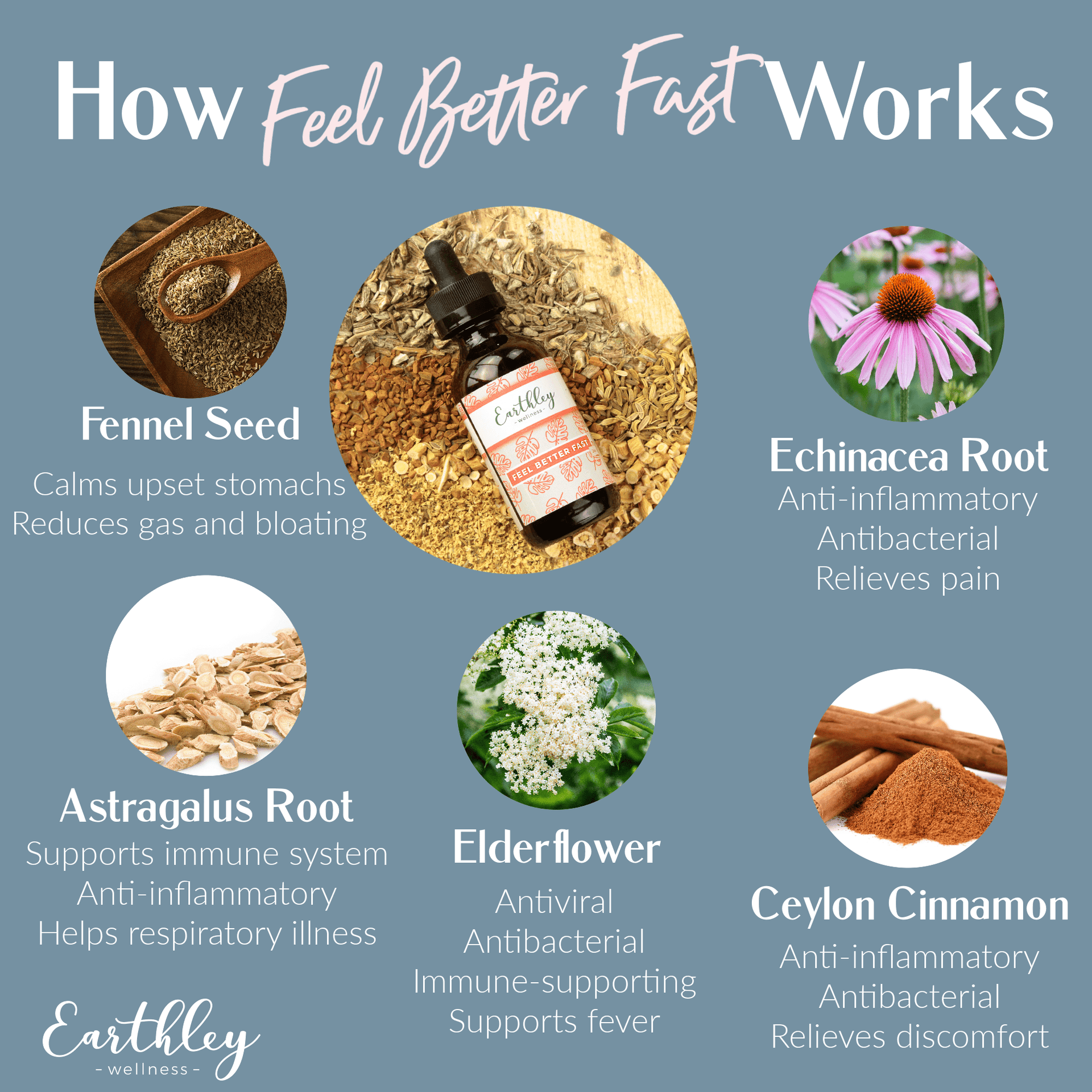 Feel Better Fast - For fever, upset stomach, discomfort, and immune ...