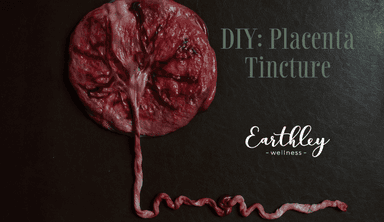 DIY: Placenta Tincture | Earthley Wellness | Earthley Wellness